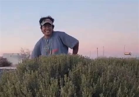 Resource Assistants Program Environment For The Americas