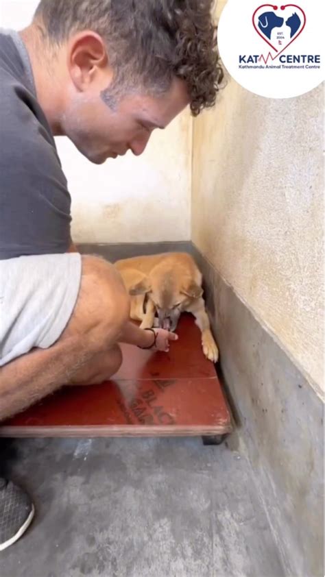 Kat Centre Nepal Strengthening Bonds For A Shared Mission 🌟🐾 The Kat