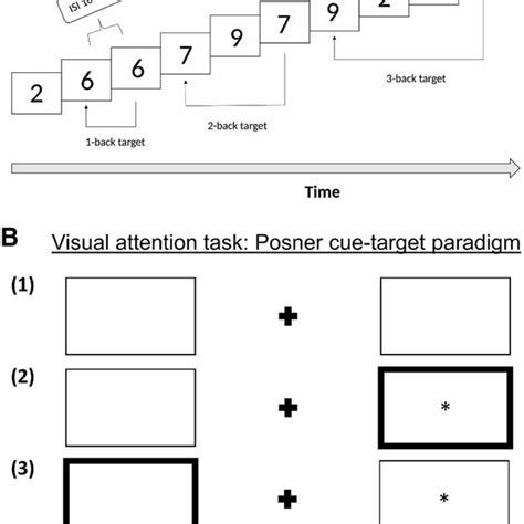 Schematic Representation Of The Cognitive Tasks A The N Back Task Download Scientific