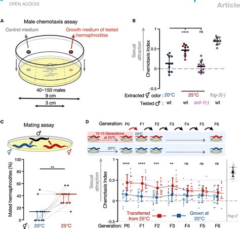 Figure 1 From Transgenerational Inheritance Of Sexual Attractiveness