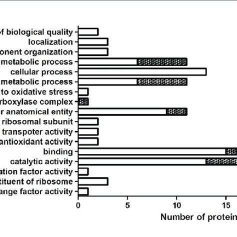The Subcellular Localization Of Deps In Tmt Labeling Proteomics And