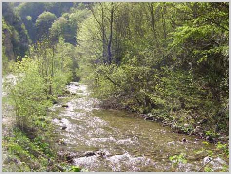 The Resava River Stara Planina