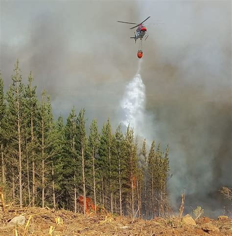 Declaran Alerta Temprana Preventiva En Ñuble Por Riesgo De Incendios