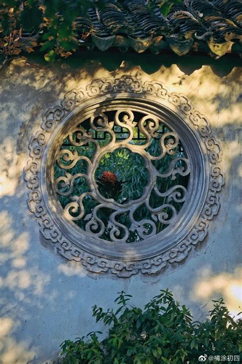 花窗菊影 「江苏·苏州市·姑苏区·耦园 国保·第五批」 此刻的苏城，狮子林的秋菊正绽放得热烈。然而耦园的菊花盆景也不遑多让，比起狮子林以数量