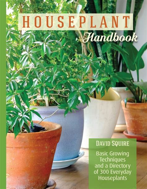 How To Prevent Identify And Get Rid Of 8 Common Houseplant Pests