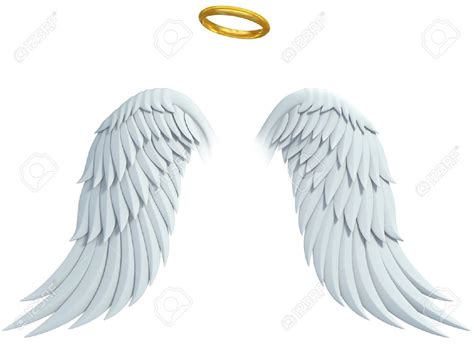 Angel Design Elements Wings And Golden Halo Isolated On The Angel