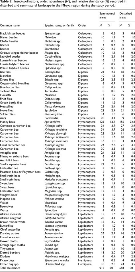 Insect Pollinators Order Abundance N And Relative Abundance Download Scientific
