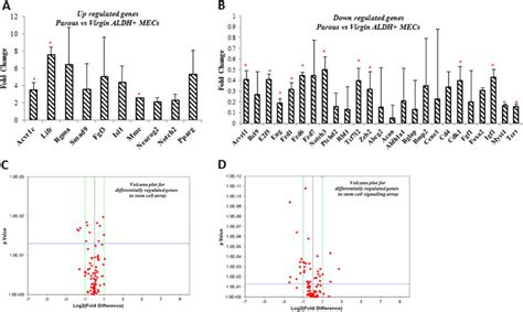 Pregnancy Alters Gene Expression Profile In Aldh Positive Mecs
