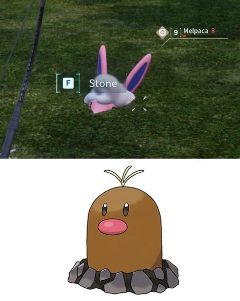 Theyre Not Even Trying To Hide The Plagiarism R Palmemes