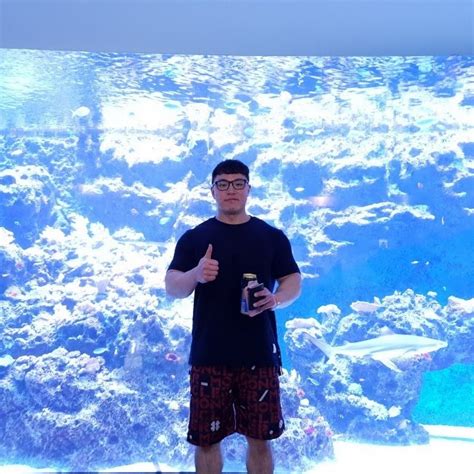 Austin Assalone Youtube