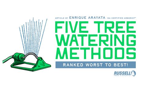 Russell Tree Experts — 5 Tree Watering Methods Ranked Worst To Best