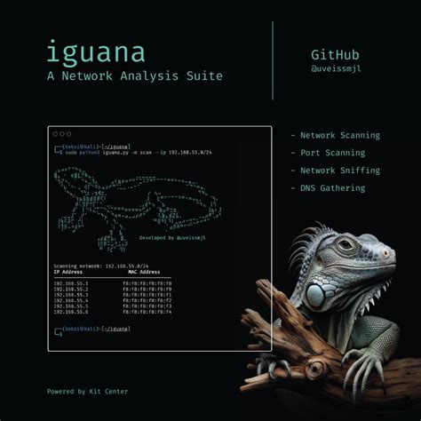 Launching Iguana A Python Tool For Network Analysis Uveis Smajli