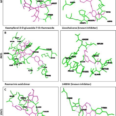 Molecular Docking Studies A Docking Pose Of Download Scientific