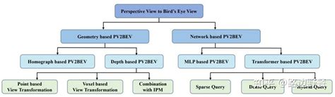 Vision Centric BEV Perception A Survey 知乎