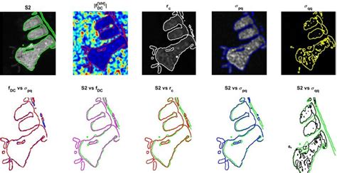 Row One Represents Extracted Coastline Maps Of Sentinel 2 S2 F V H