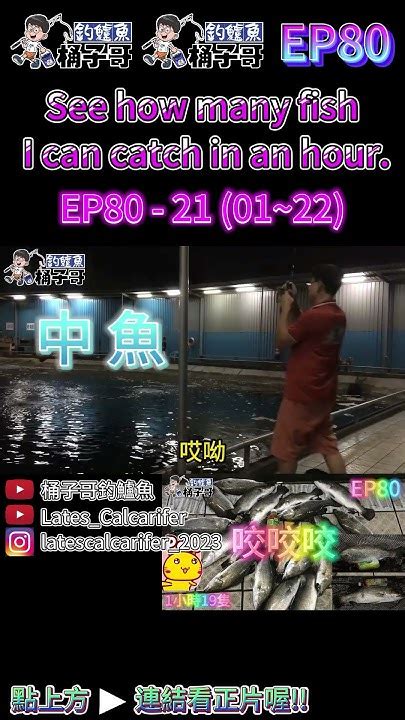Ep80 21 01~22 咬咬咬1小時19隻外加2隻大金目鱸拉爽爽 金目鱸海釣場大湖海釣場barramundi