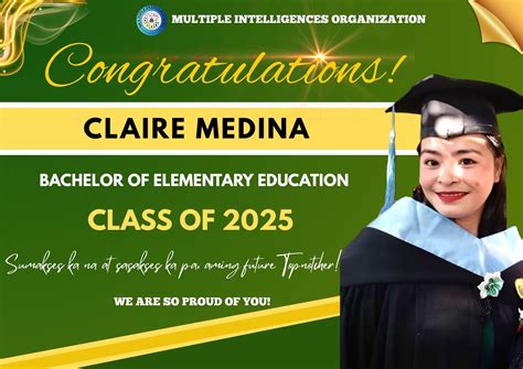 Multiple Intelligence Multiple Intelligence Organization