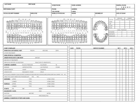 Printable Primary Teeth Chart