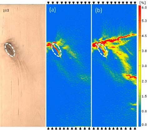 Structural Timber Specimen With Knot Under Compression Loads Parallel Download Scientific