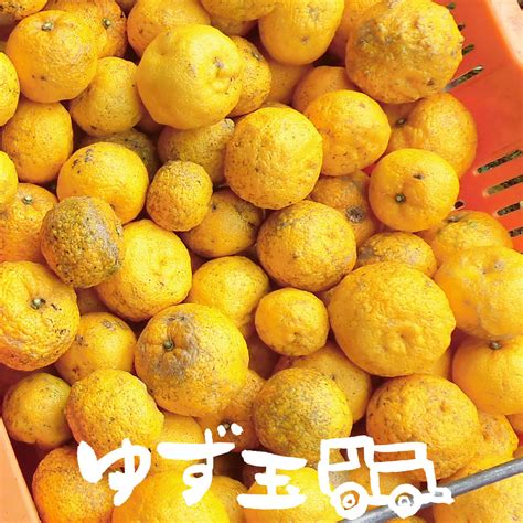 ゆず玉 エコアス馬路村