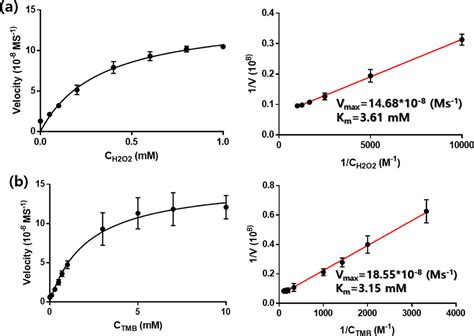 Multibranched Auagpt Nanoparticle As A Nanozyme For The Colorimetric Assay Of Hydrogen