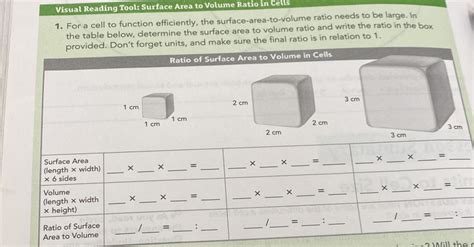 Solved Visual Reading Tool Surface Area To Volume Ratio In Cells 1