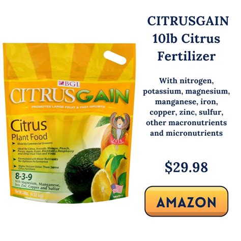 Best Citrus Tree Fertilizer What When And How To Use It All Roads