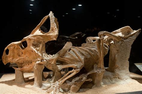 Amazing Ghostbusters Dinosaur Fossil Zuul Goes On Display