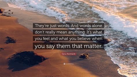 Dana Reinhardt Quote Theyre Just Words And Words Alone Dont Really