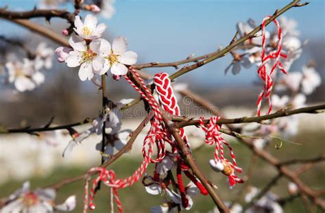 Martenitsa Bulgarian Customs Royalty Free Stock Images - Image: 13574989