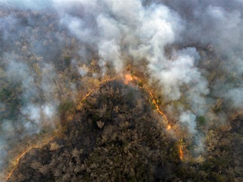 Quebec Wildfires 2025 News Elsa J Taylor