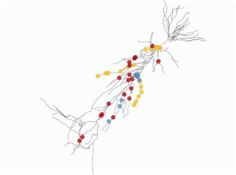 modeldb show model
