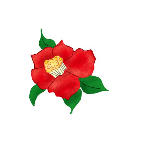 椿の花 イラストがいっぱい