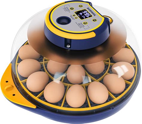 Bobmail 21 Egg Incubator For Hatching Chickens Incubator With Automatic Egg Turning