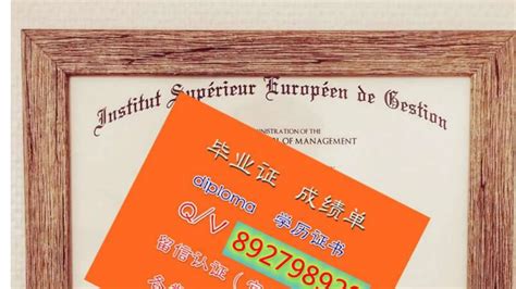 Aepptx【香港高才优才专才申请】办washu毕业证留信 大使馆认证q微892798920办圣路易斯华盛顿大学毕业证书wustl