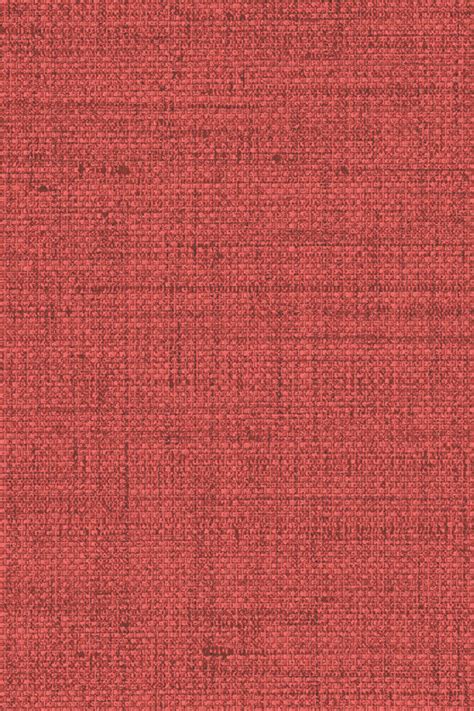 27016 Curiosa Puro Wallpaper Wallcoveringsmart