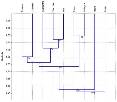 UPGMA Dendrogram Of Nine M Piperita Cultivars Based On RAPD Primers