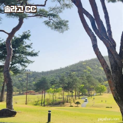 ⛳솔라고cc 코스분석 36홀 라운딩후기 맛집 골프장날씨 충남 파파훈골프블로그