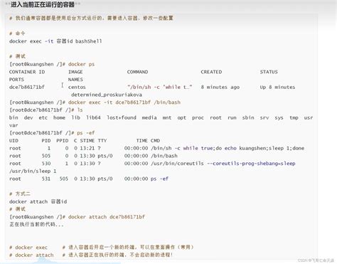 Docker06docker进入当前正在运行的容器和拷贝命令docker 容器中的文件正在使用 Csdn博客