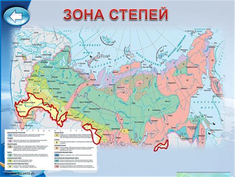 Электронный географический дневник Презентация проекта «Природные зоны