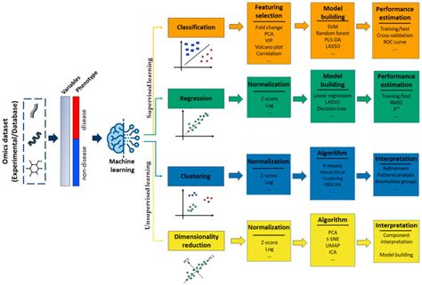 Integrating Molecular Perspectives Strategies For Comprehensive Multi Omics Integrative Data