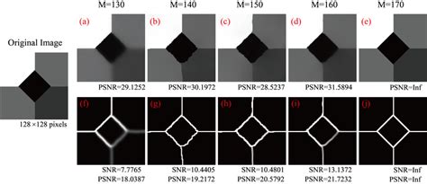 color online the numerical simulation results of the simple gray
