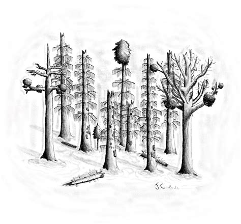 Posts By Collection Jeremy Cours Website