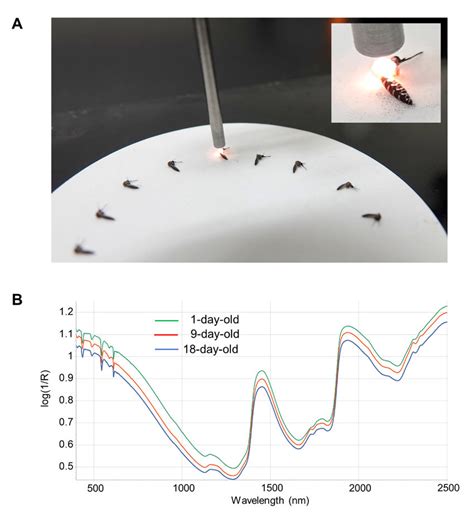 Nirs Scanning And Typical Spectra A Examples Of Mosquito