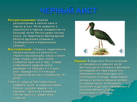 Красная Книга Белгородской области Редкие птицы Белгородской области презентация онлайн
