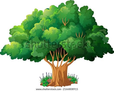 Big Tree Isolated Cartoon Illustration Stock Vector Royalty Free 2166808915 Shutterstock