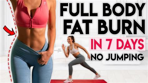 Full Body Gym Routine For Fat Loss Eoua Blog