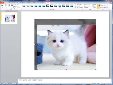 파워포인트 PPT 이미지 자르기 편집 방