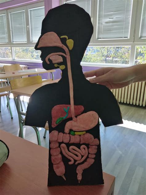 Такмичење из биологије 2022 ниски старт Био блог