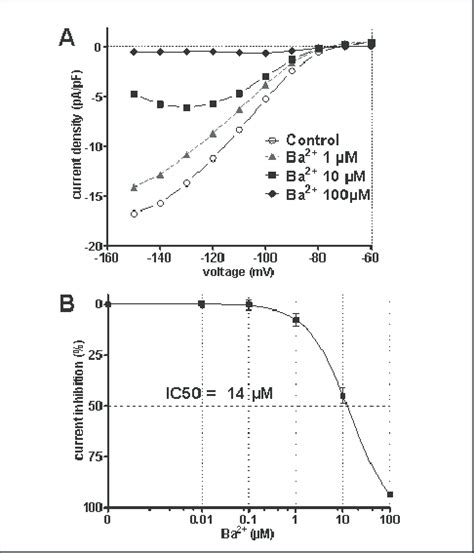 Characterisation Of The Voltage Dependent Inward Rectifying K